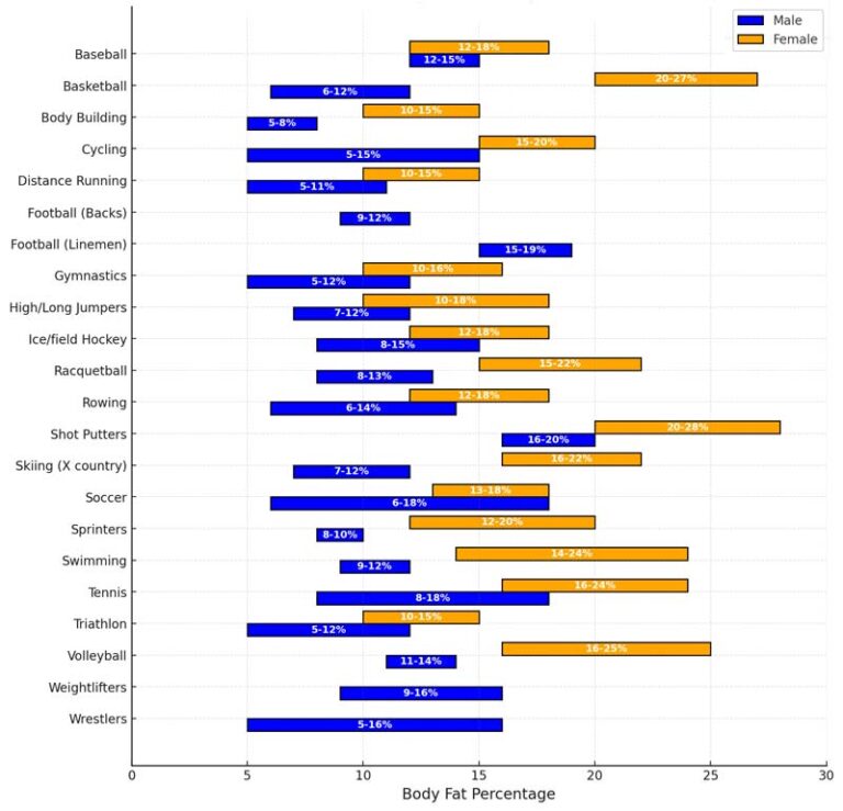 Understanding BMI and Body Fat Percentage for Optimal Health - BeSund